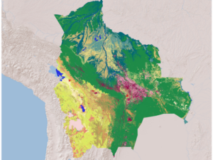 MapBiomas Bolivia